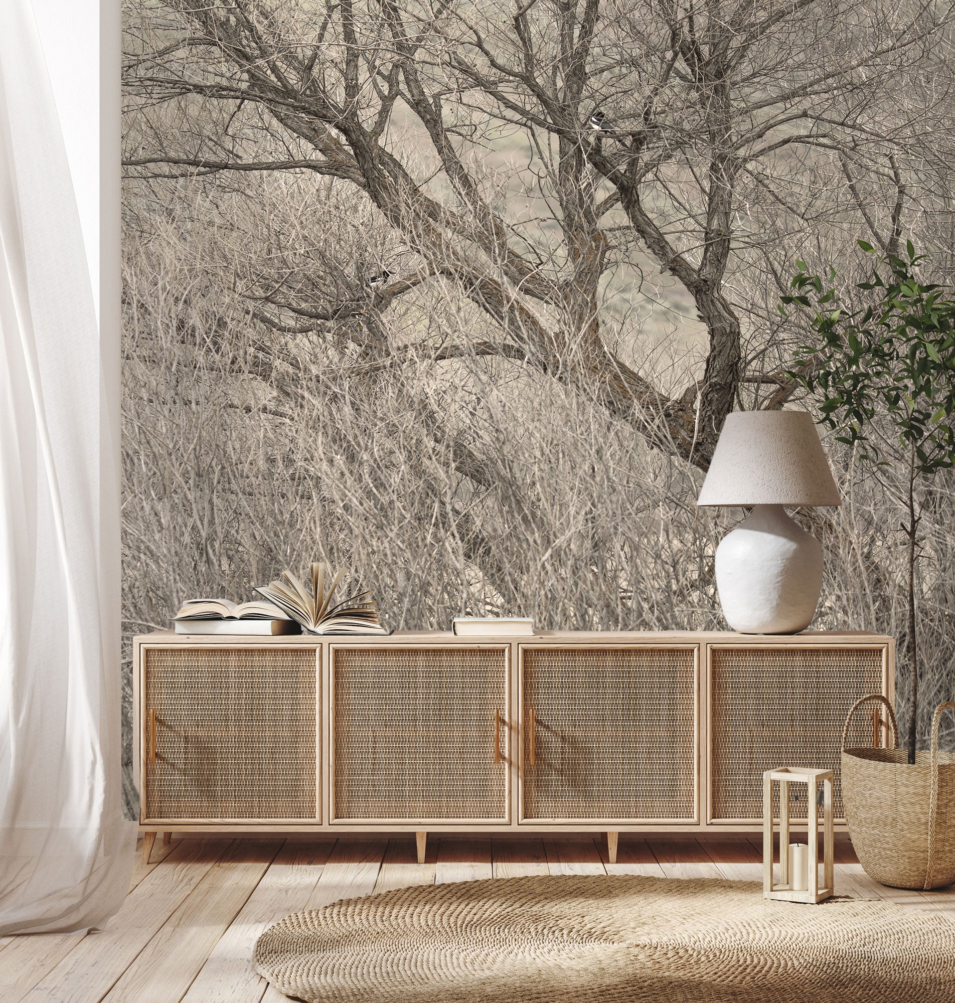 Aticha Tree Mural – Wallpaper Warehouse SA