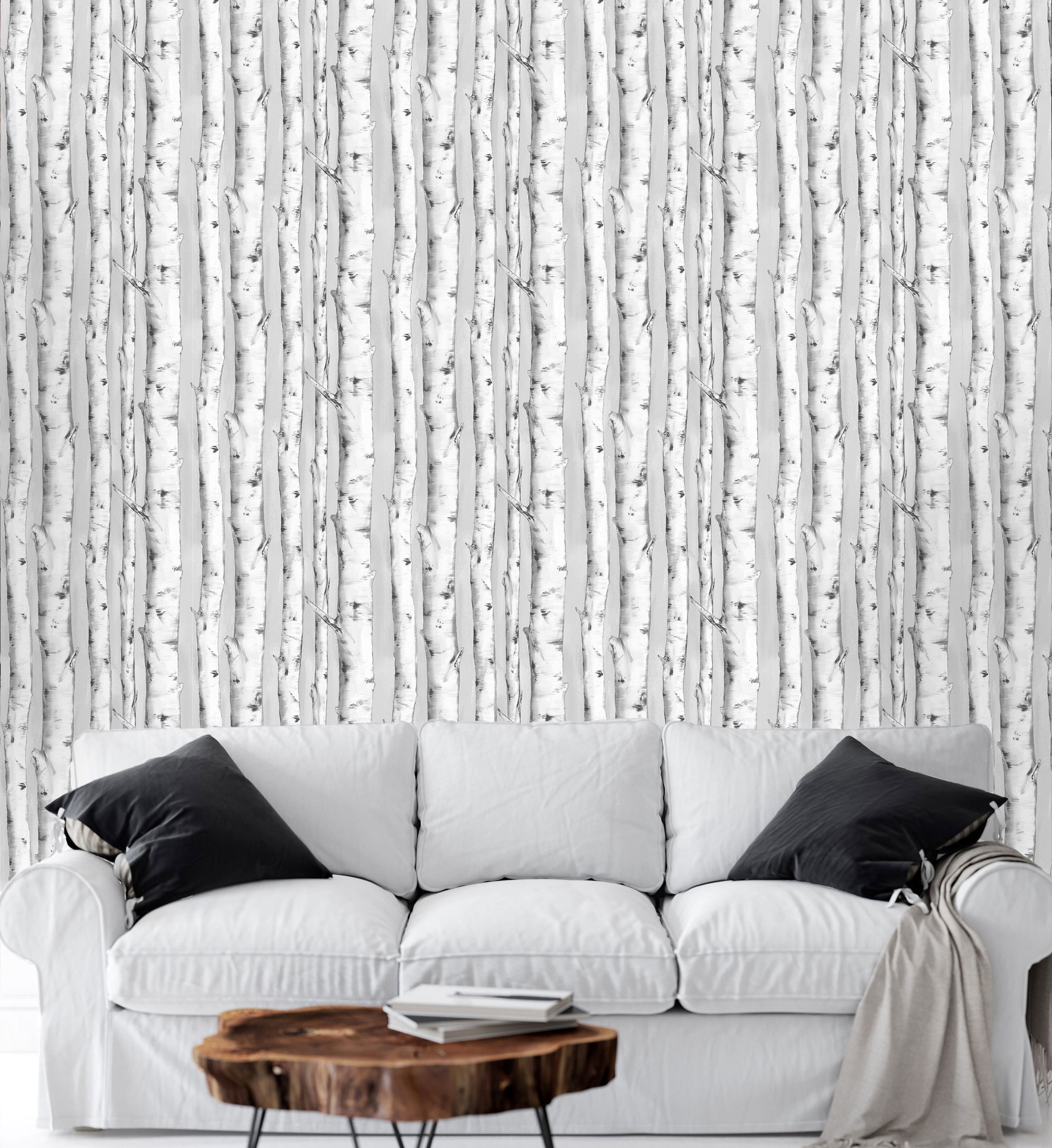 Birchwood Branches Wallpaper – Wallpaper Warehouse SA