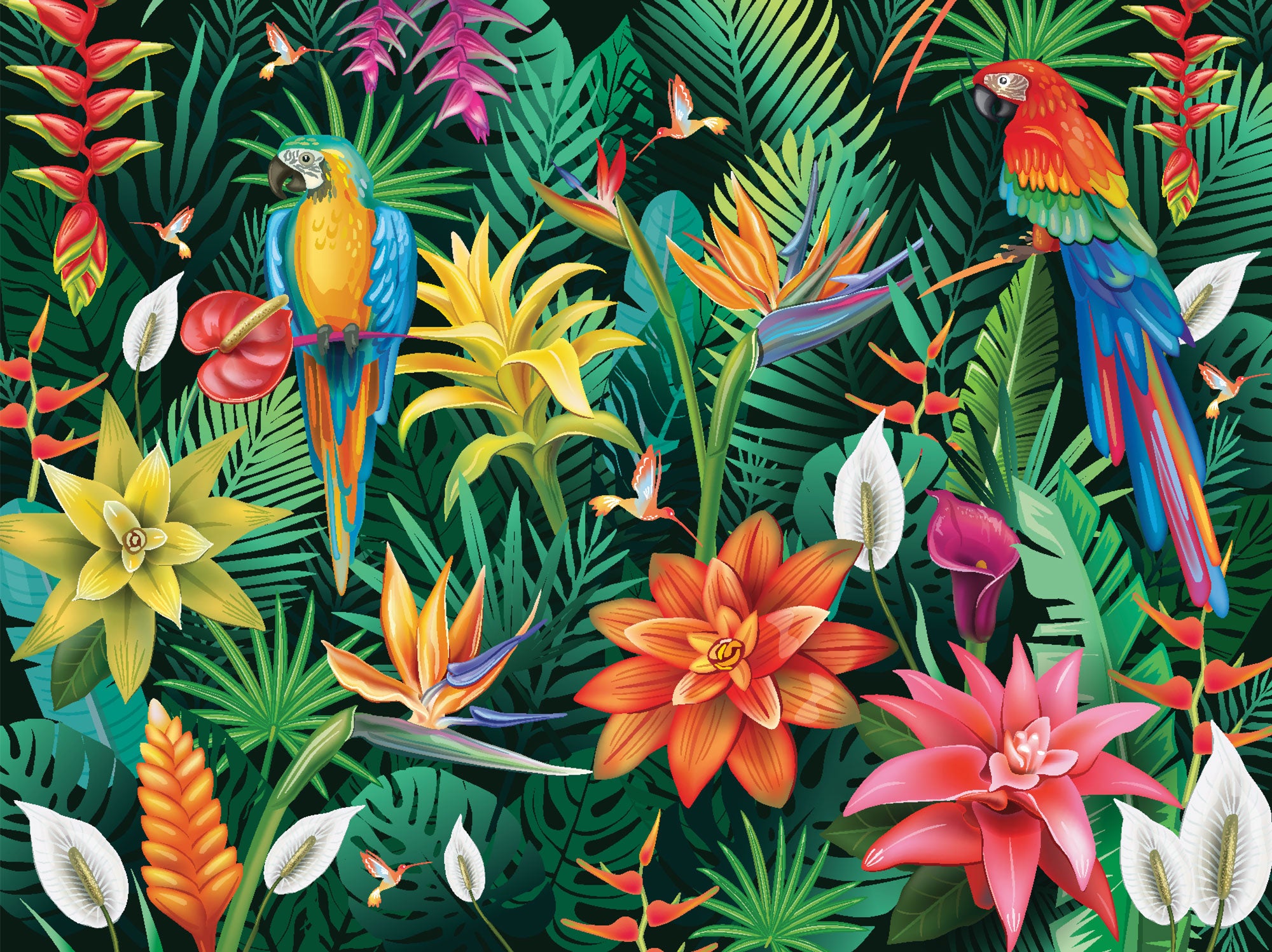 Summer Keets Mural – Wallpaper Warehouse SA